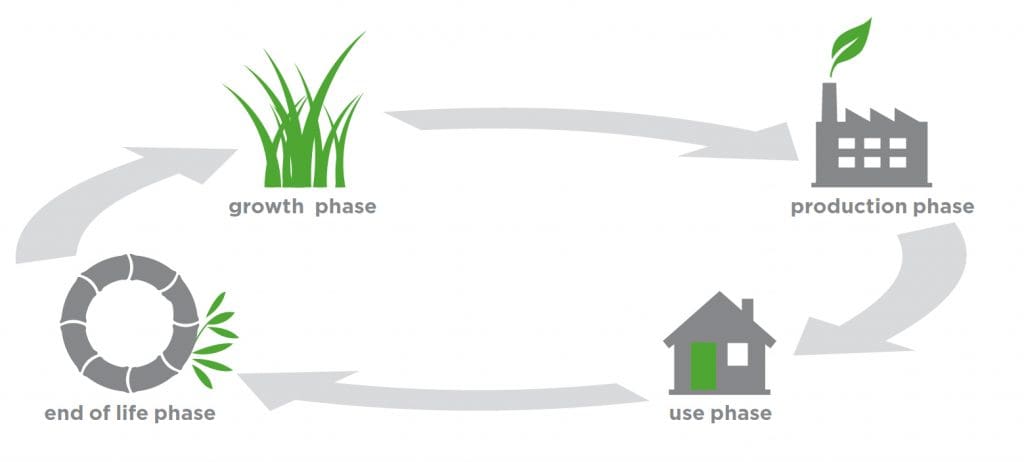 Sustainable & Eco-friendly Bamboo Products - Plantation Bamboo