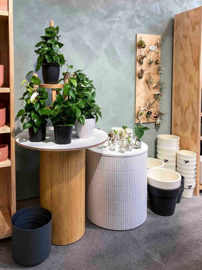 Sustainably Transforming a Retail Space with Flexbamboo - Plantation Bamboo